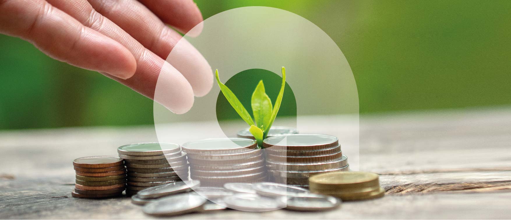 Home [www.aminvest.com]